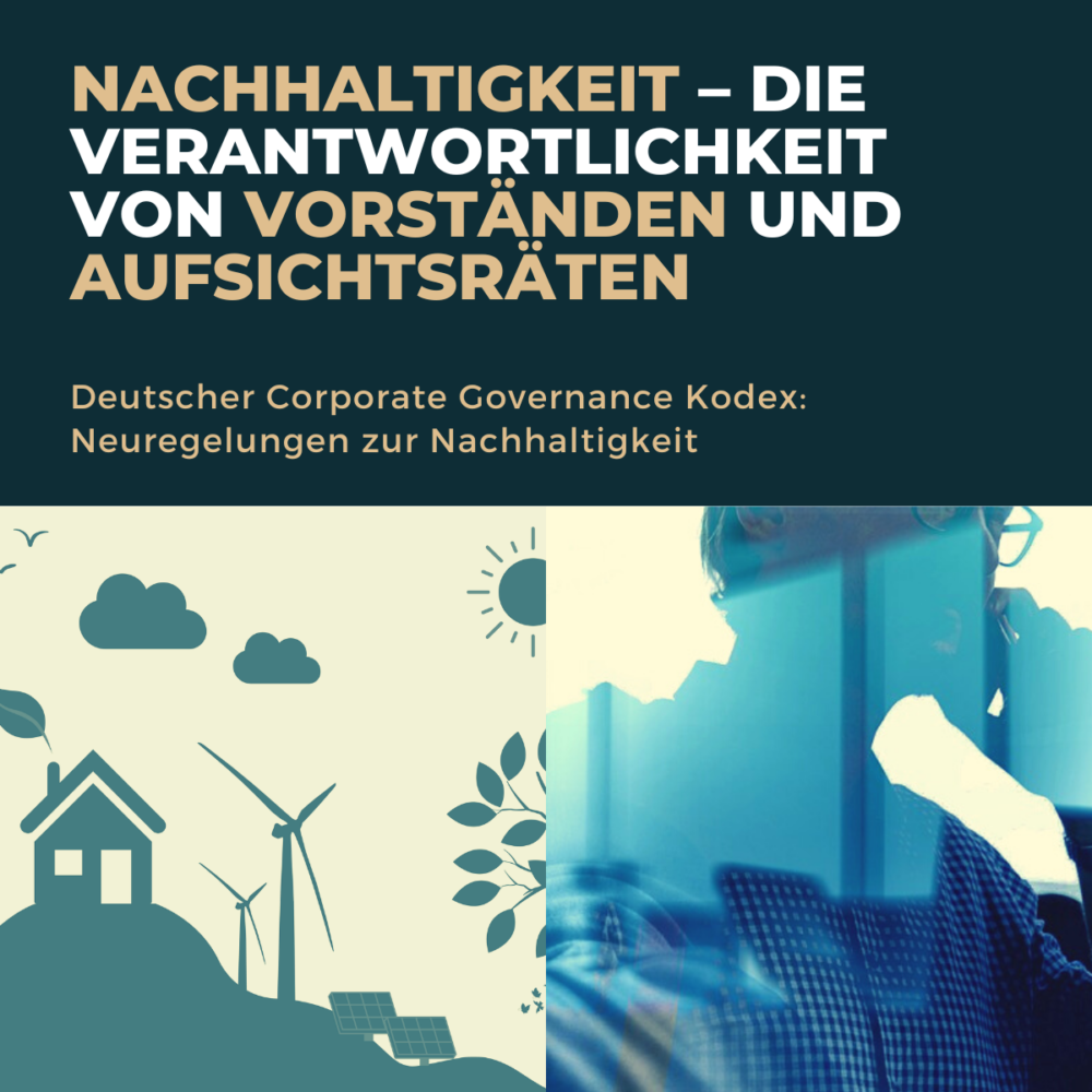 Nachhaltigkeit – Die Verantwortlichkeit von Vorständen und ...